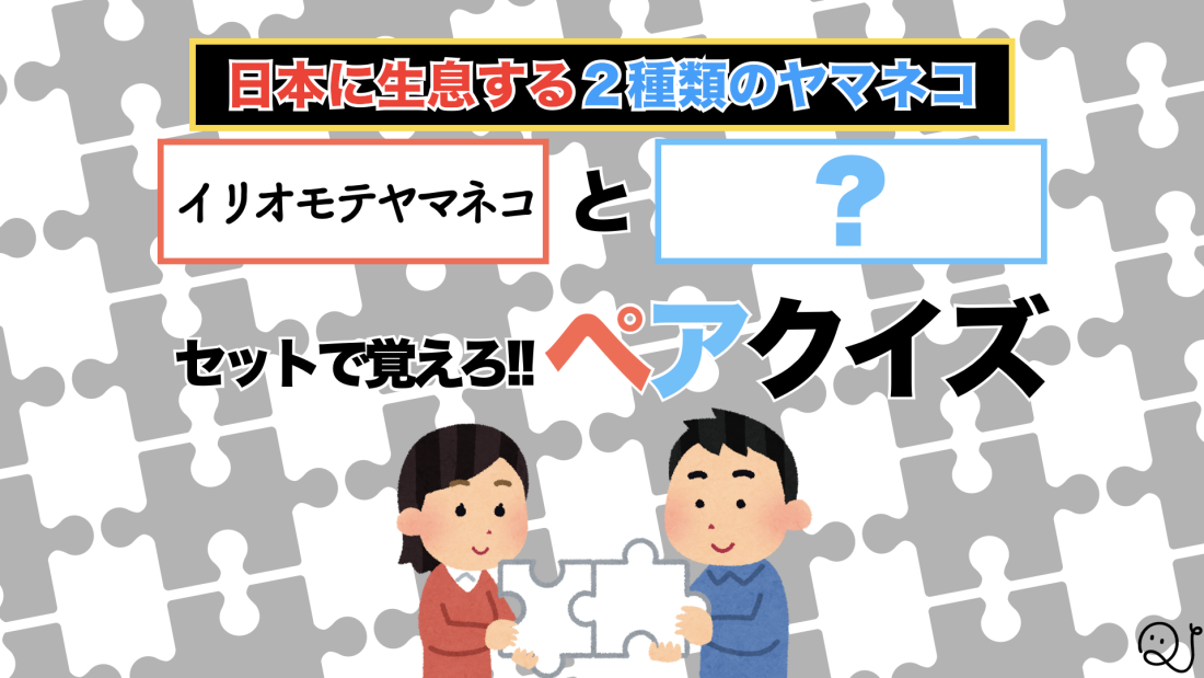 まとめて覚える!ペアクイズ│quizx